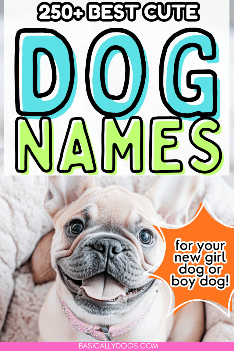 250+ Cute Dog Names: Ultimate List of Girl Dog Names and Boy Dog Names ...