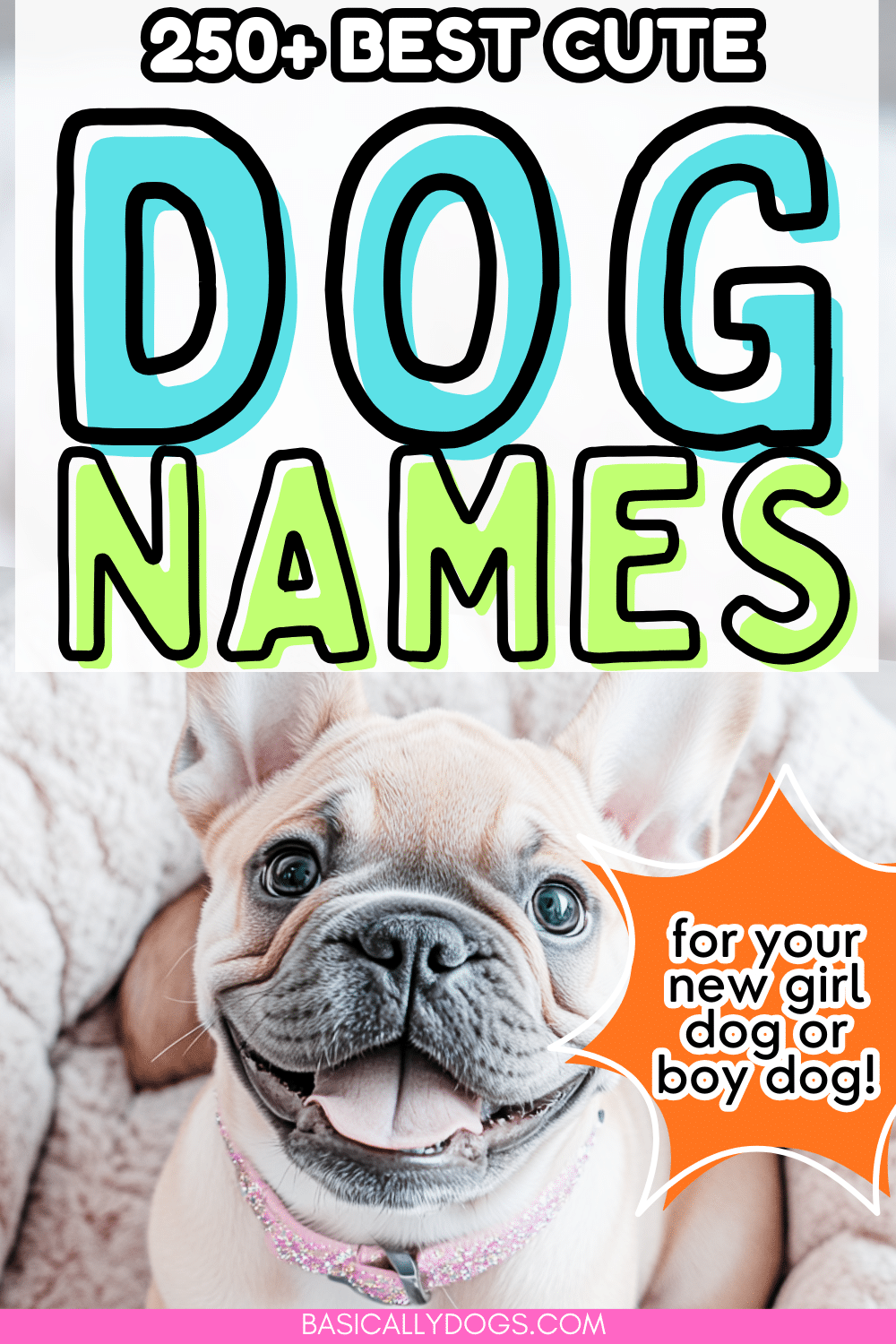 250+ Cute Dog Names: Ultimate List of Girl Dog Names and Boy Dog Names ...