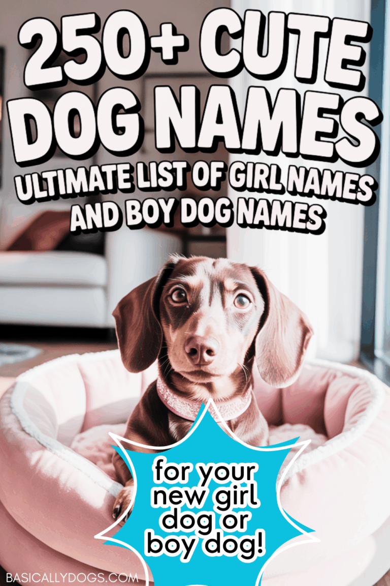 250+ Cute Dog Names: Ultimate List of Girl Dog Names and Boy Dog Names ...