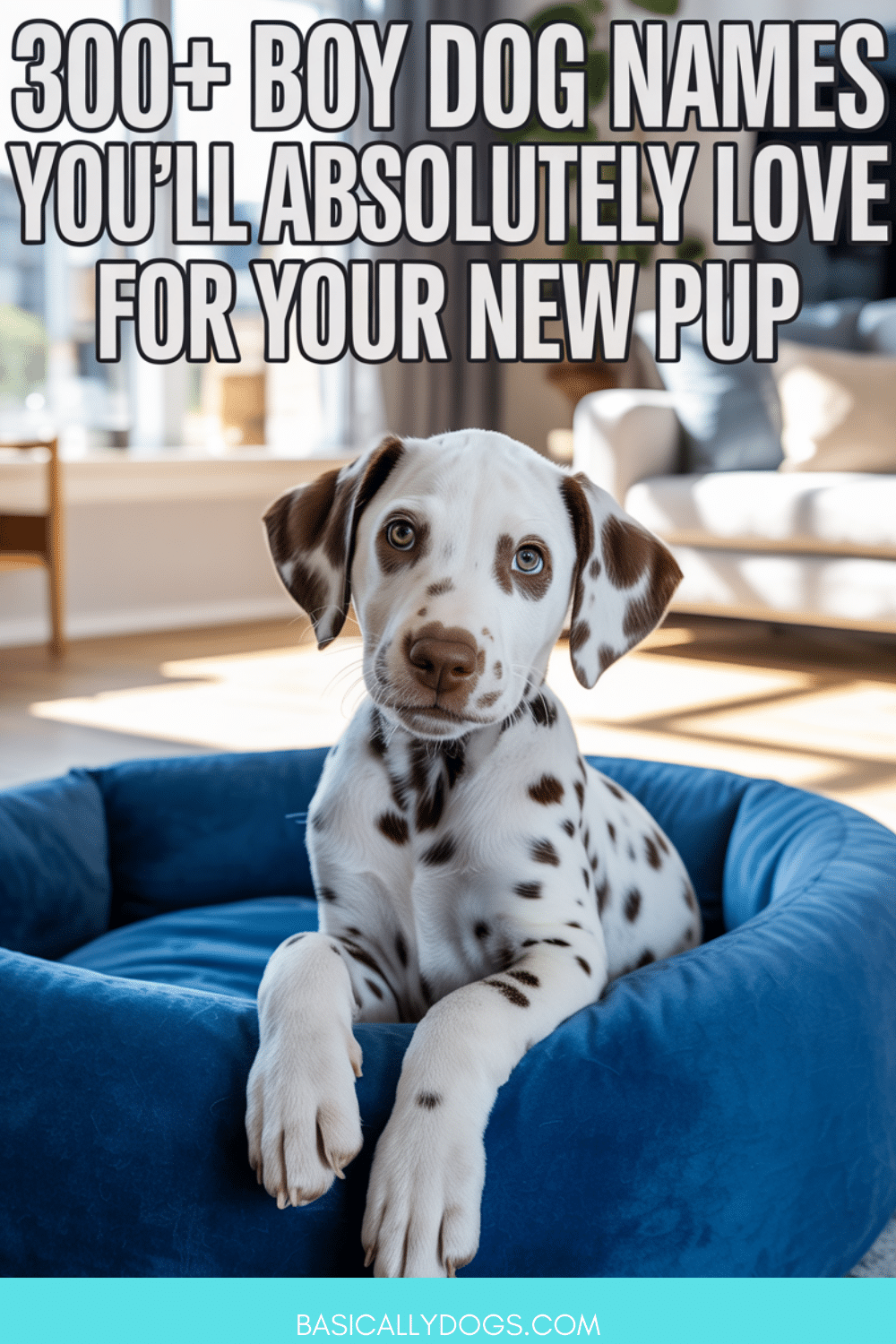300+ Boy Dog Names You’ll Absolutely Love for Your New Pup - Basically Dogs