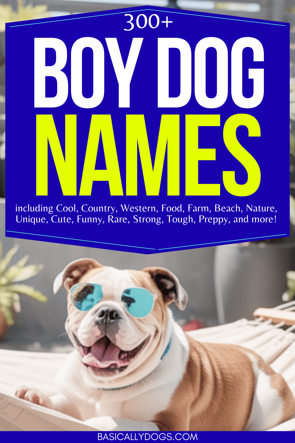 300+ Boy Dog Names You’ll Absolutely Love for Your New Pup - Basically Dogs