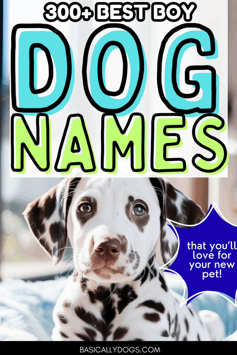 300+ Boy Dog Names You’ll Absolutely Love for Your New Pup - Basically Dogs