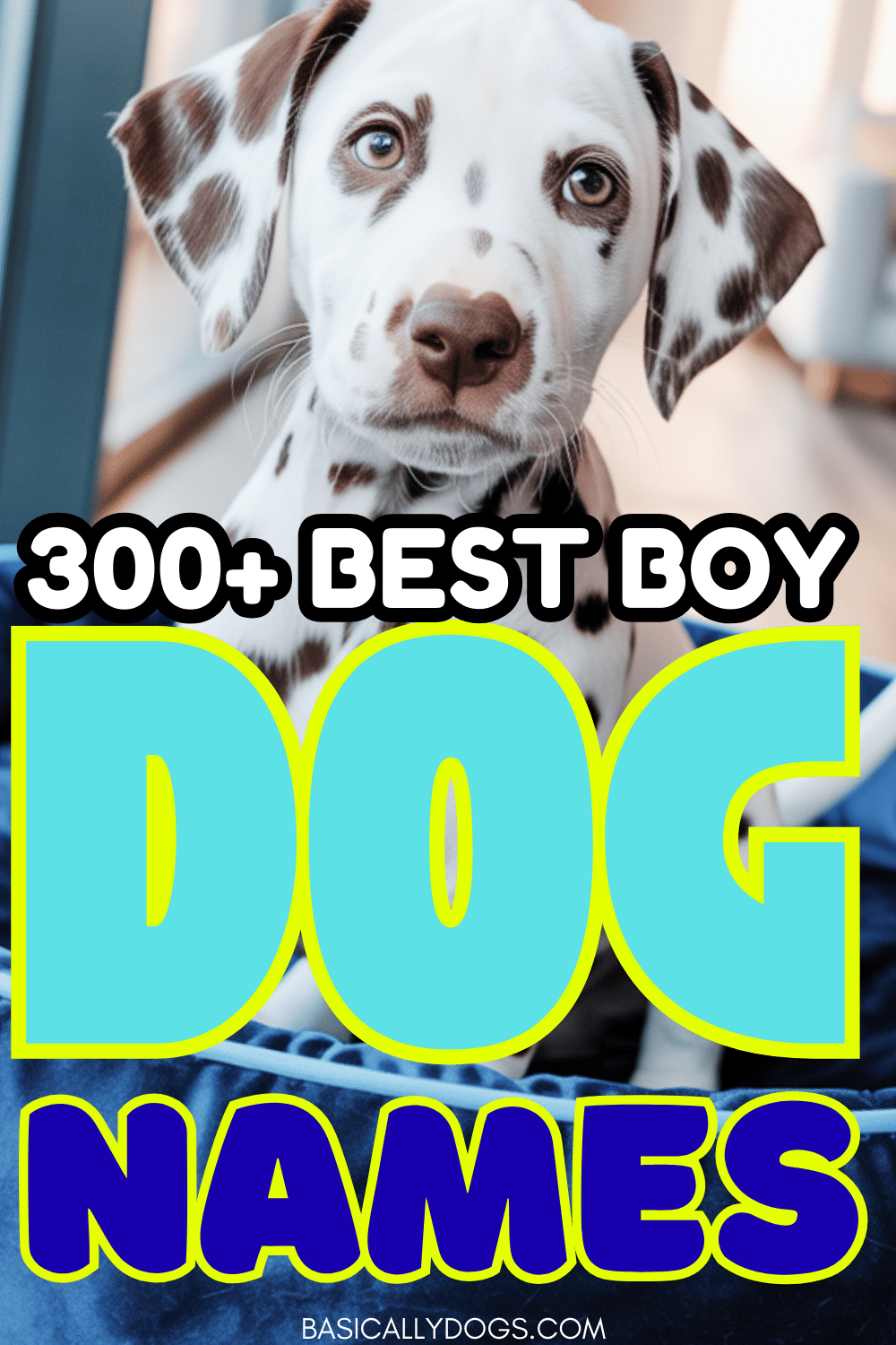 300+ Boy Dog Names You’ll Absolutely Love for Your New Pup - Basically Dogs