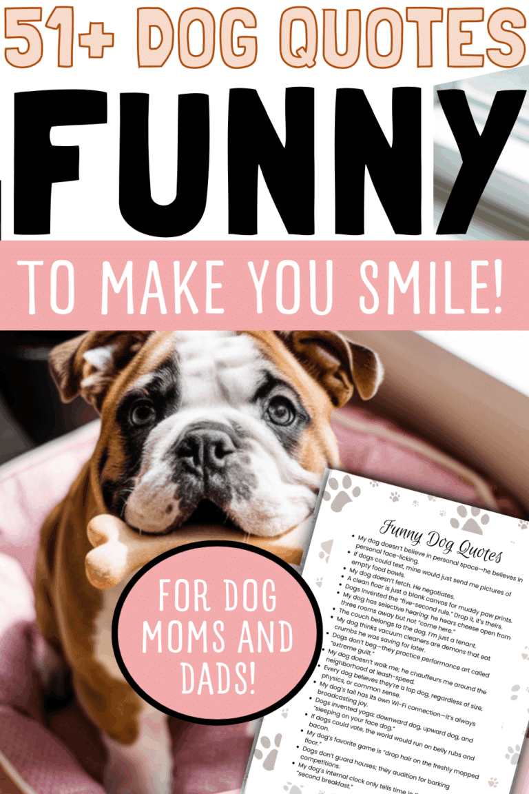 51+ Dog Quotes Funny to Brighten Your Day (With Free Printable ...