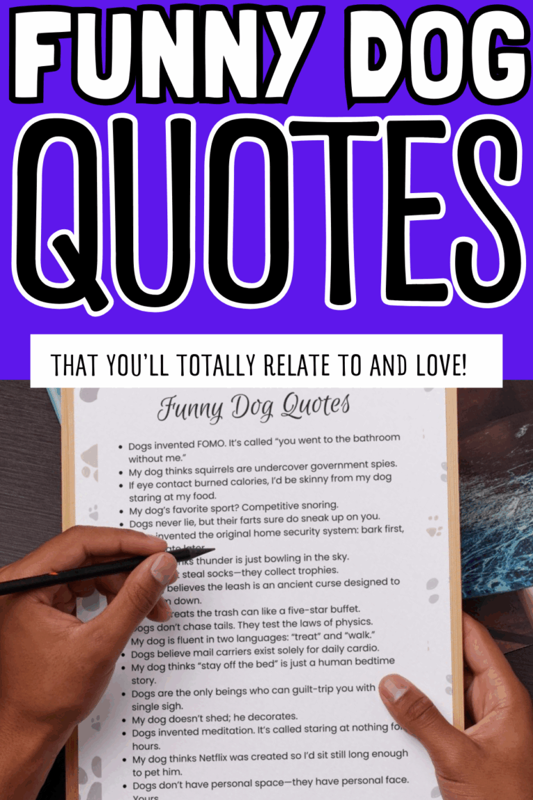 51+ Dog Quotes Funny to Brighten Your Day (With Free Printable ...