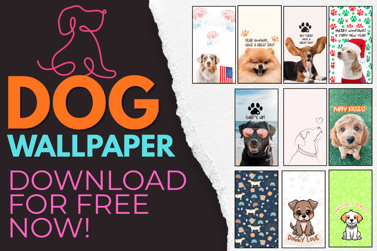 Dog Wallpaper to Brighten Your Phone Screen (Free Download) - Basically ...