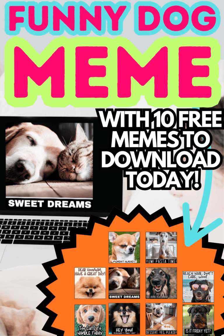 Dog Meme: Cute, Funny, and 10 Free Downloads to Use Today - Basically Dogs