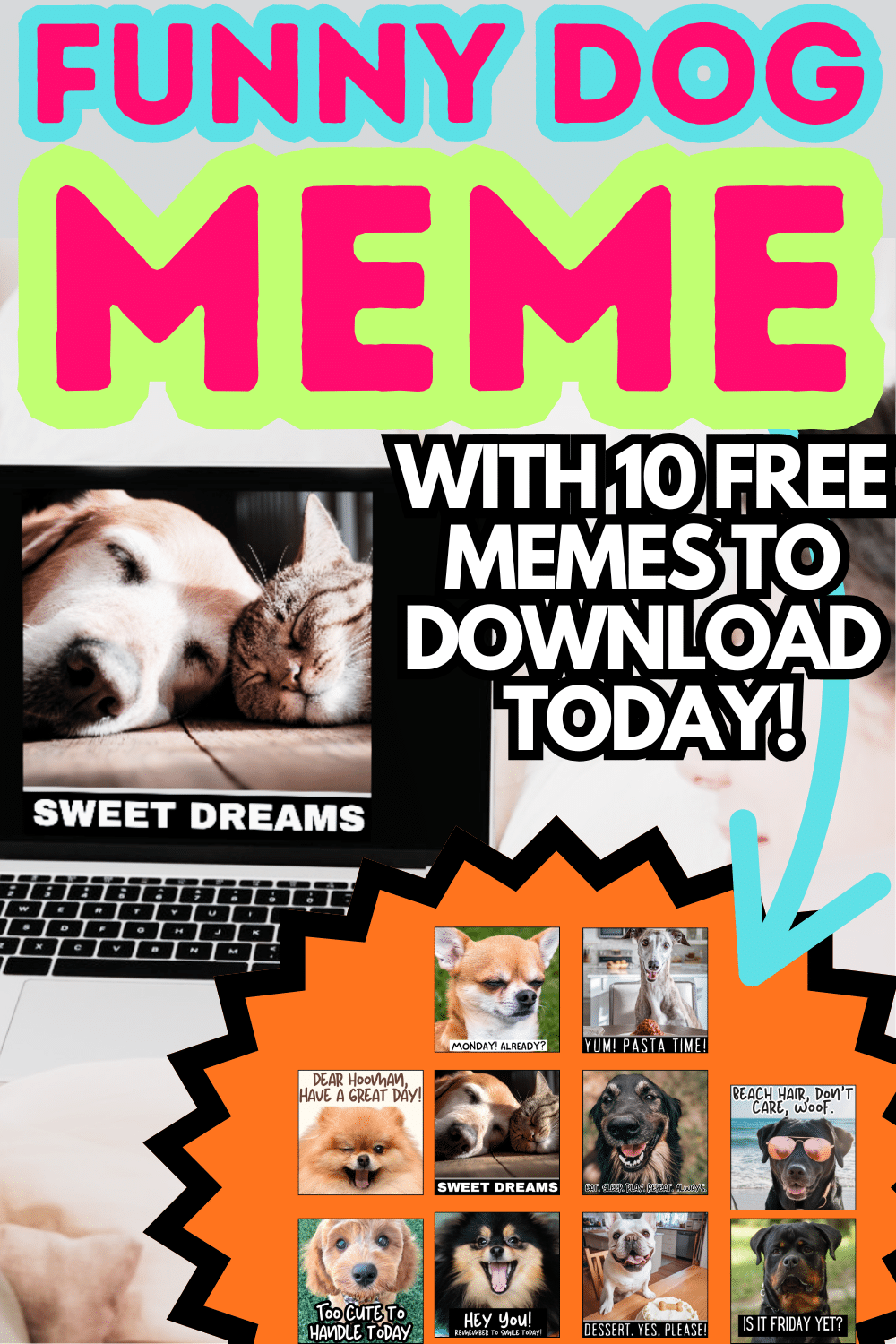 Dog Meme: Cute, Funny, and 10 Free Downloads to Use Today - Basically Dogs
