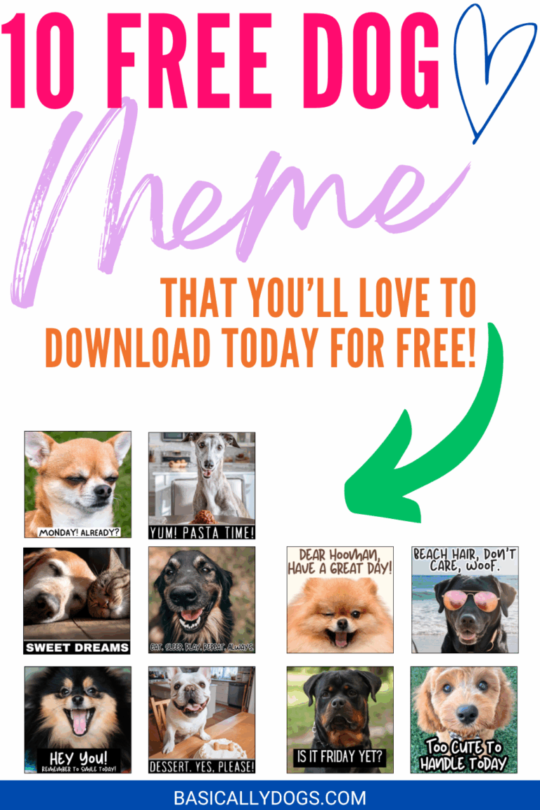 Dog Meme: Cute, Funny, and 10 Free Downloads to Use Today - Basically Dogs