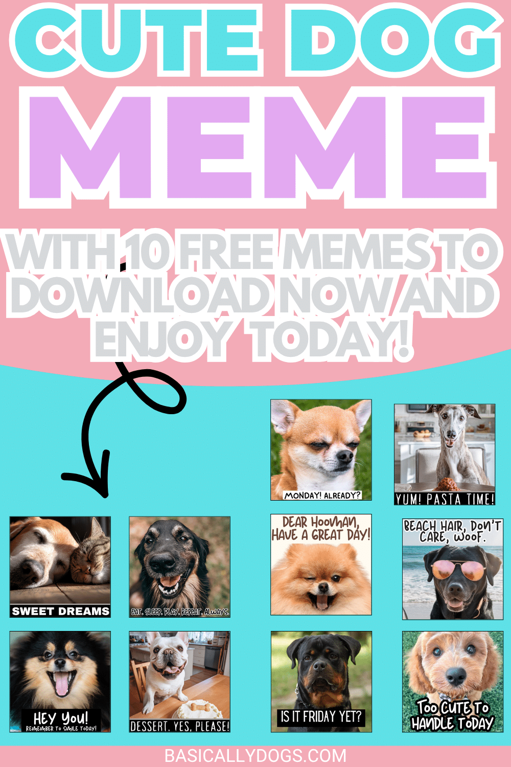 Dog Meme: Cute, Funny, and 10 Free Downloads to Use Today - Basically Dogs