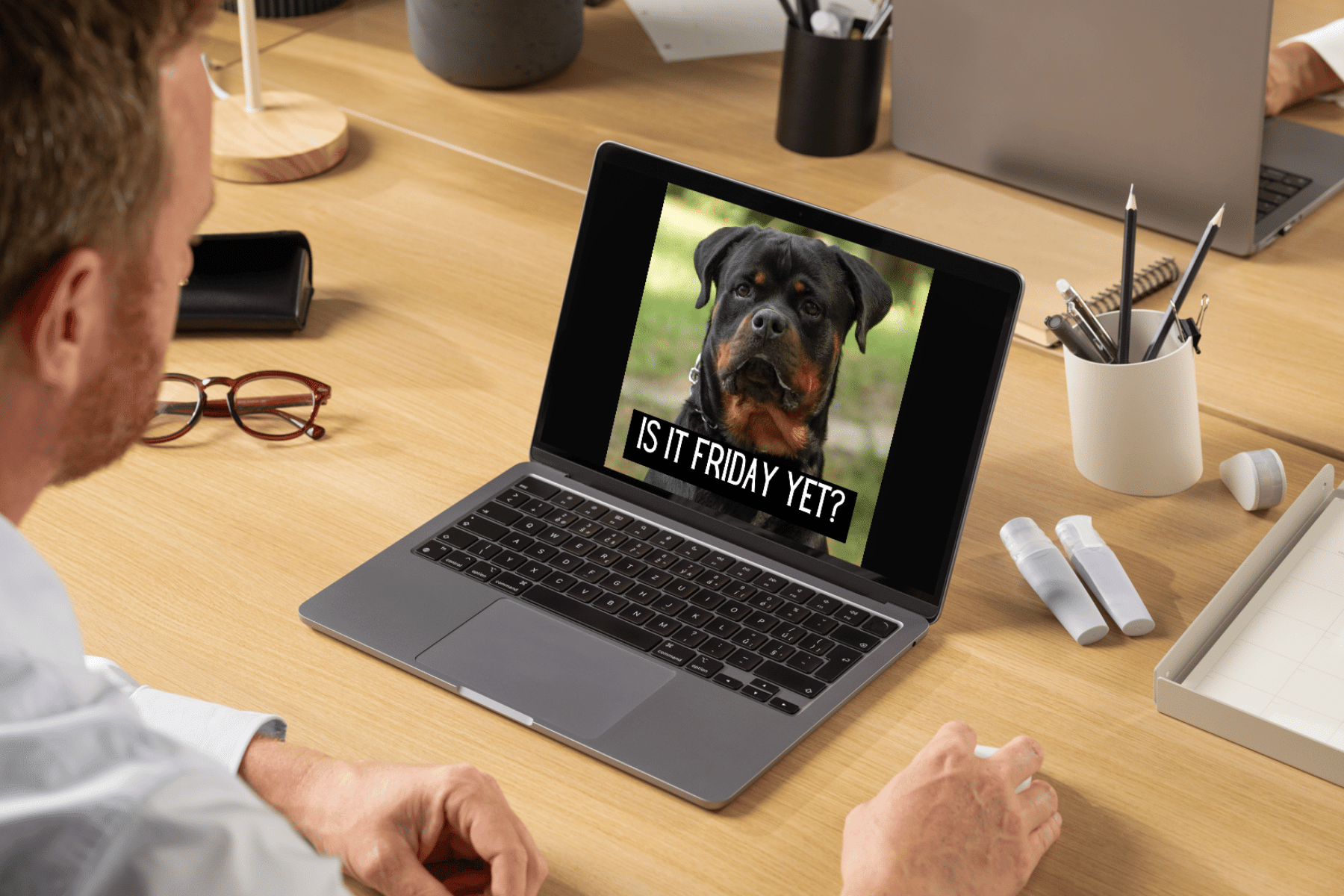 Dog Meme: Cute, Funny, and 10 Free Downloads to Use Today - Basically Dogs