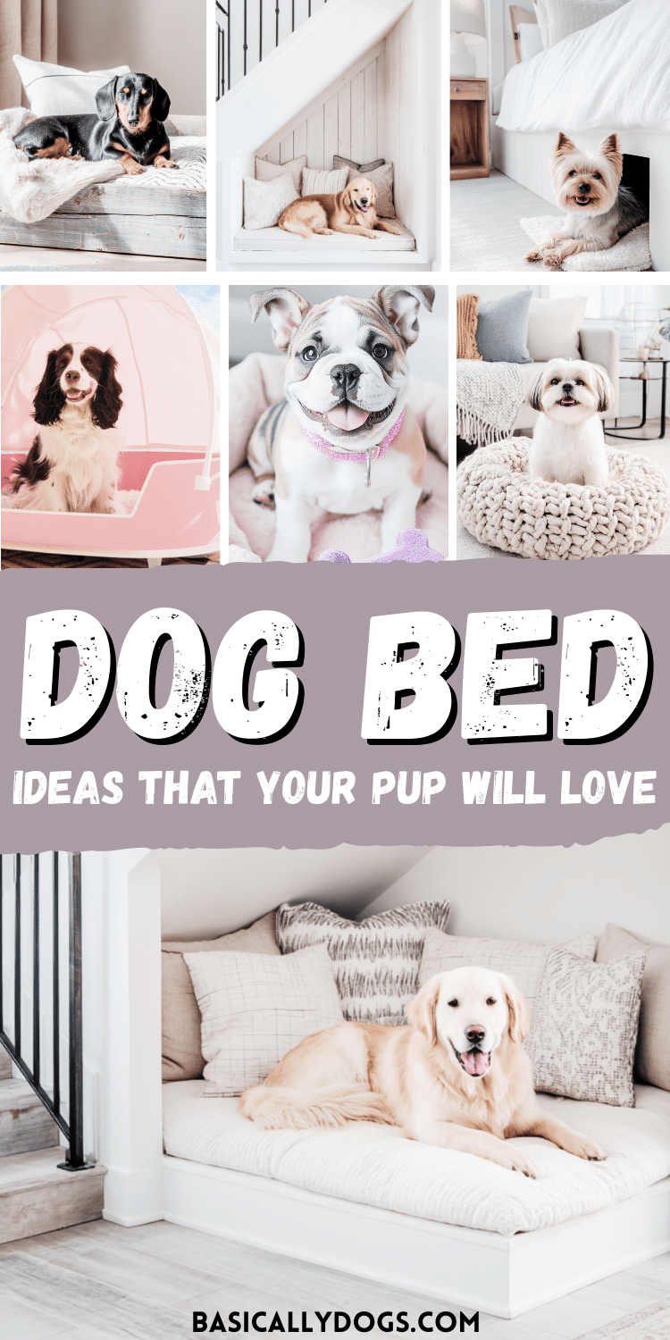 Creative Dog Bed Ideas: DIY Dog Bed, Built-In Dog Bed, and More ...
