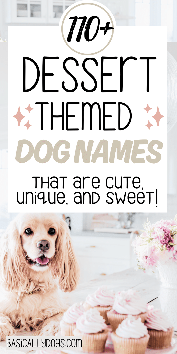 110+ Dessert Dog Names: Sweet, Cute, Unique, and Adorable - Basically Dogs