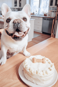 110+ Dessert Dog Names: Sweet, Cute, Unique, and Adorable - Basically Dogs