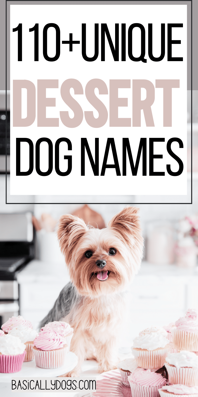 110+ Dessert Dog Names: Sweet, Cute, Unique, and Adorable - Basically Dogs
