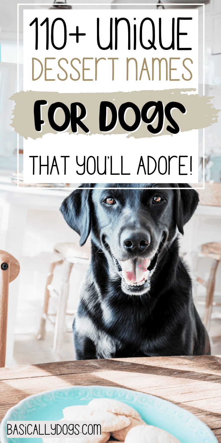 110+ Dessert Dog Names: Sweet, Cute, Unique, and Adorable - Basically Dogs