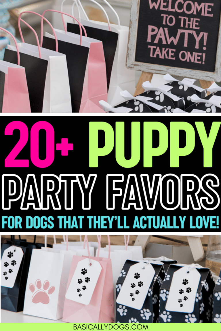 20+ Cute Puppy Party Favors Your Furry Guests Will Adore - Basically Dogs