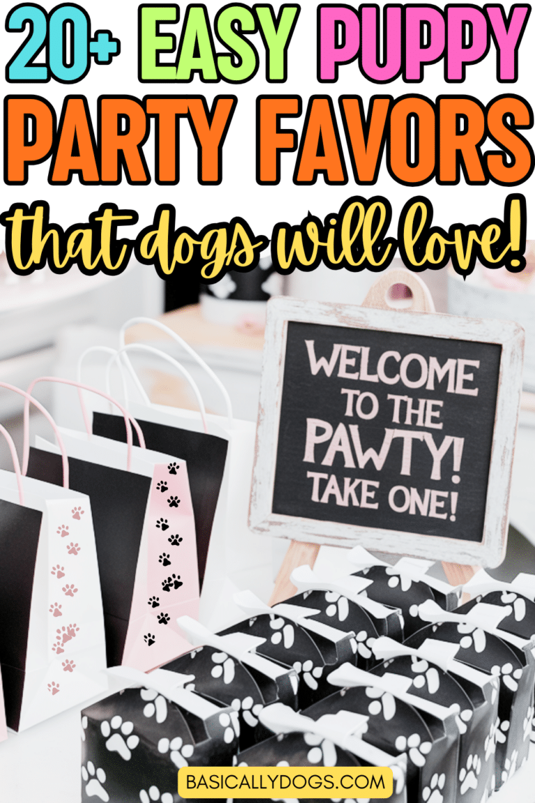 20+ Cute Puppy Party Favors Your Furry Guests Will Adore - Basically Dogs
