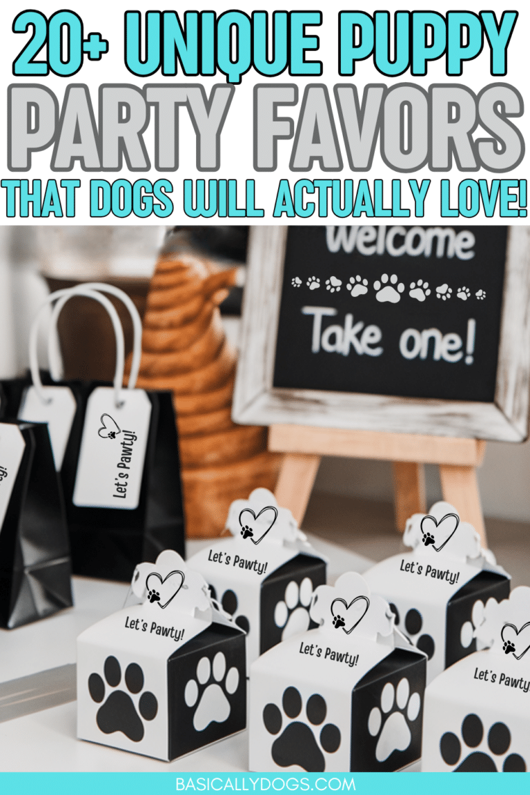 20+ Cute Puppy Party Favors Your Furry Guests Will Adore - Basically Dogs
