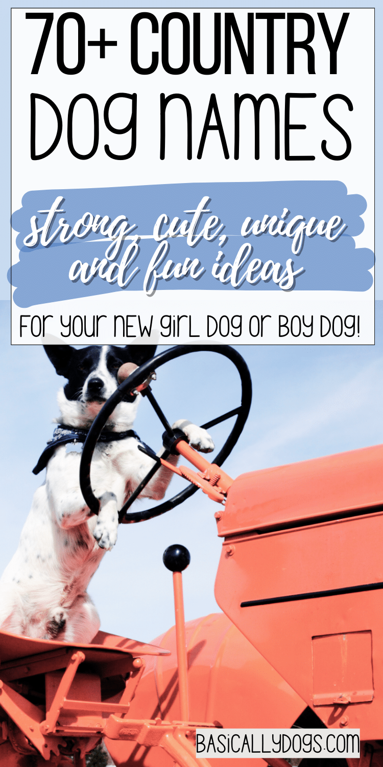 70+ Country Dog Names: Strong, Cute, Unique, and Fun - Basically Dogs