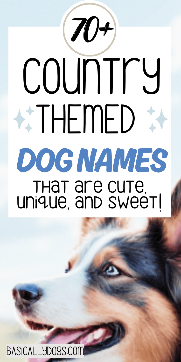 70+ Country Dog Names: Strong, Cute, Unique, and Fun - Basically Dogs