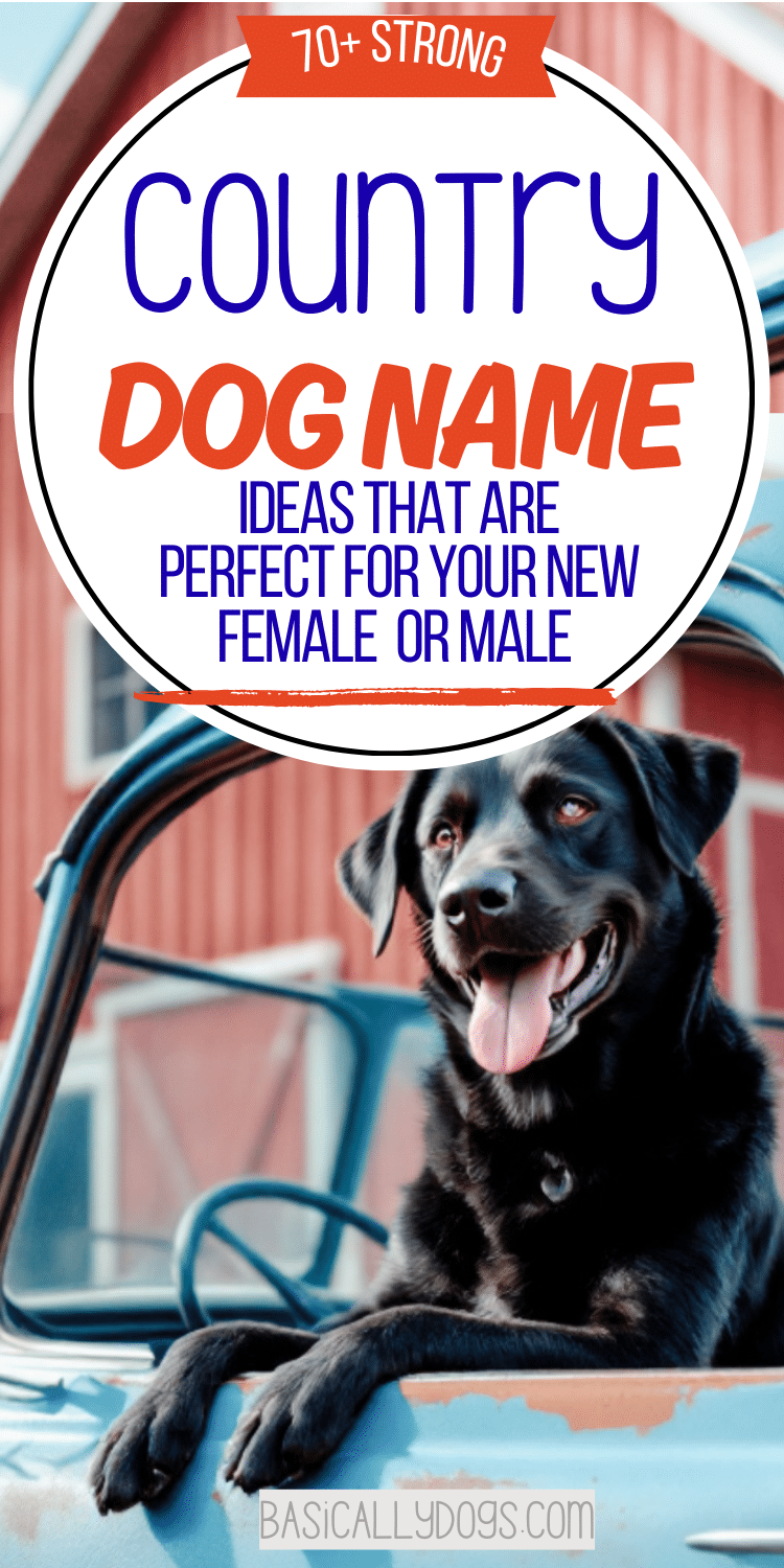 70+ Country Dog Names: Strong, Cute, Unique, and Fun - Basically Dogs