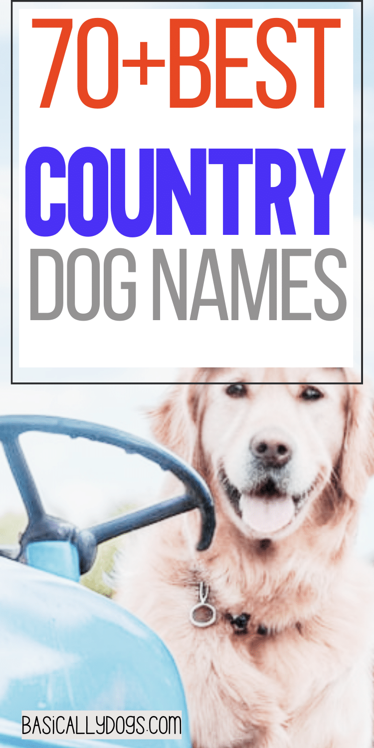 70+ Country Dog Names: Strong, Cute, Unique, and Fun - Basically Dogs